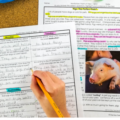 A Daily Reading Review System for Reading Comprehension | One Stop ...